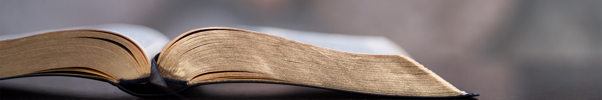 Biblical Interpretation Across the Two Testaments | Anabaptist ...