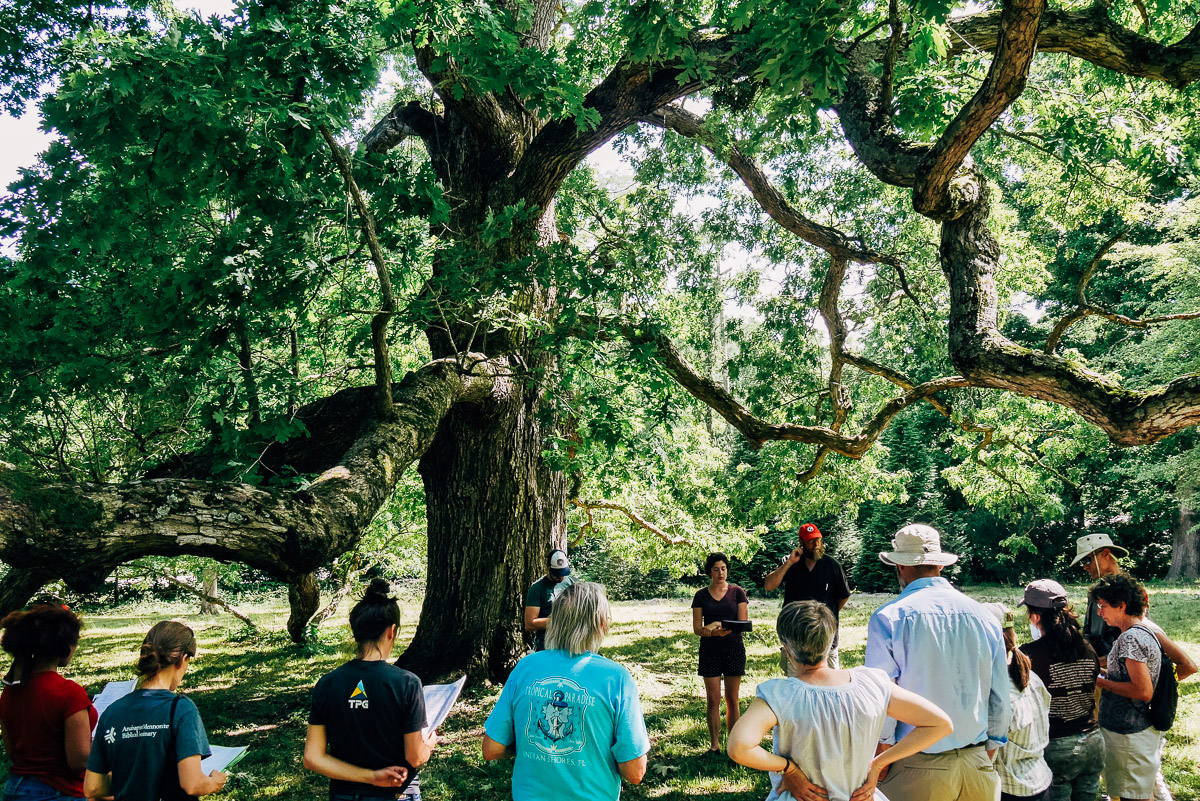 Trail of Death | Anabaptist Mennonite Biblical Seminary