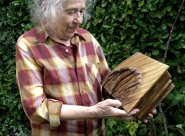 "Heart for Wood": Seminary receives collection of wooden book eco ...